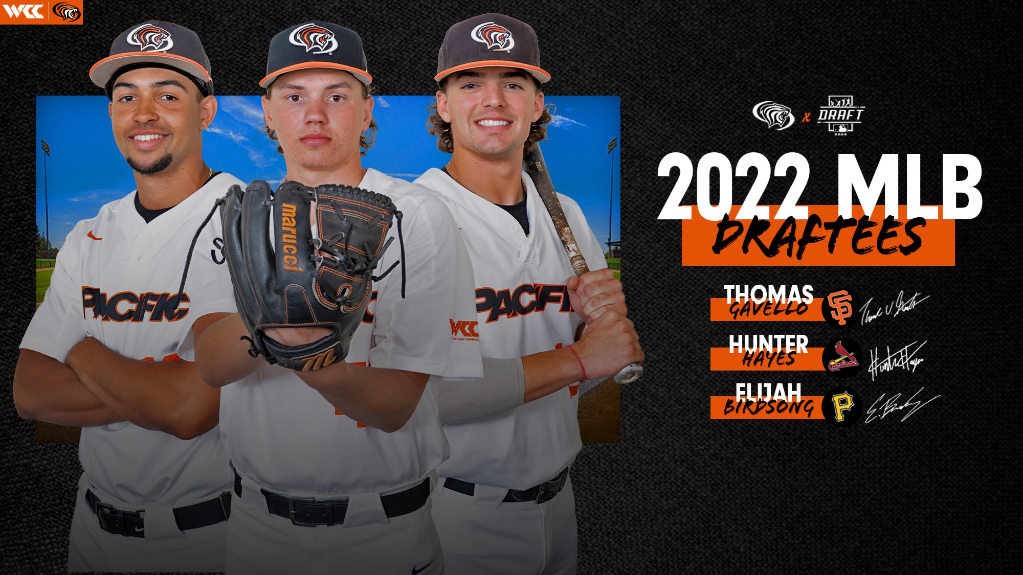 THREE TIGERS SELECTED IN MLB DRAFT - Pacific Athletic Foundation